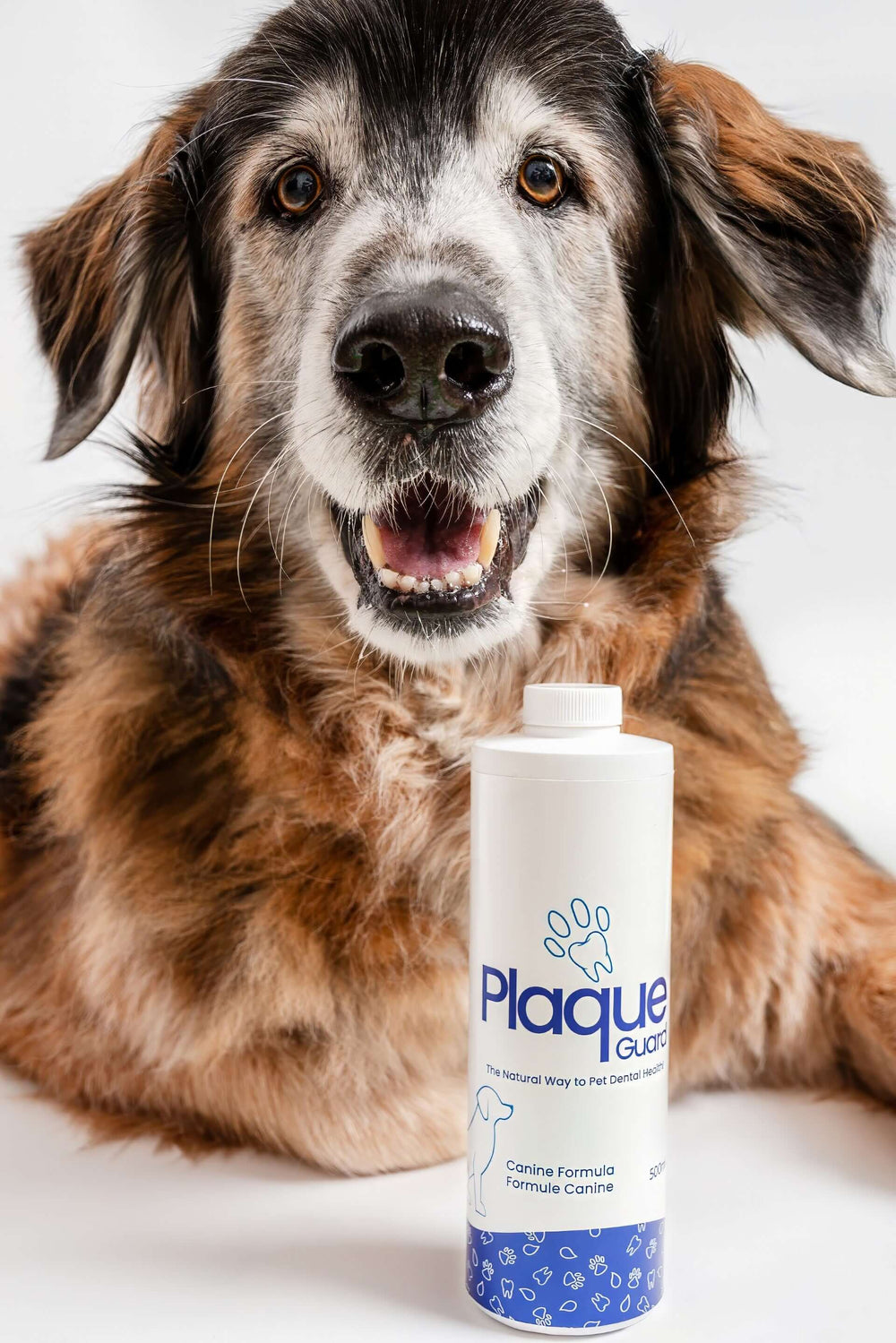 Plaque Guard for Dogs 250ml - Healthy Mouth Additive